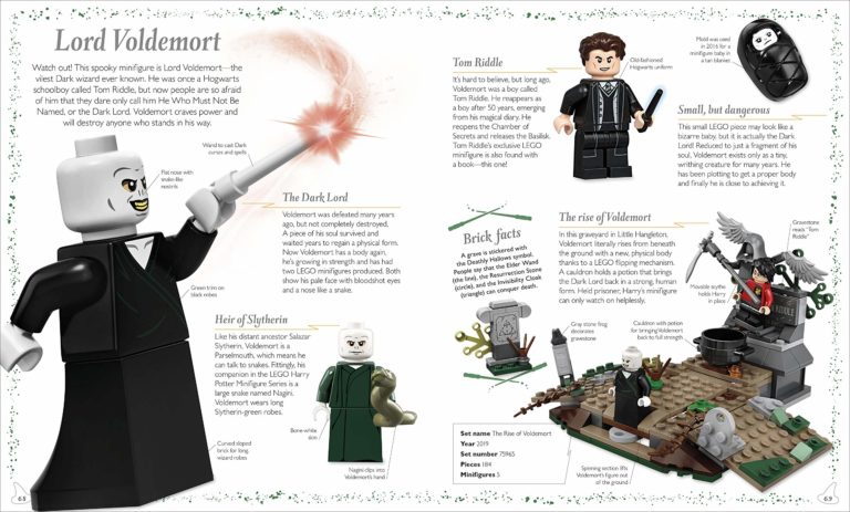 Brickfinder - Exclusive LEGO Tom Riddle First Look!